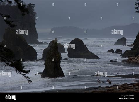 Misty Sea Ruby Beach Washington USA Stock Photo Alamy