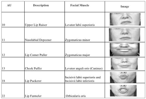 Lower Face Action Units Download Scientific Diagram