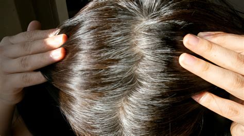 La Receta Secreta Y Casera Para Tapar Las Canas Y Olvidarte Del Tinte