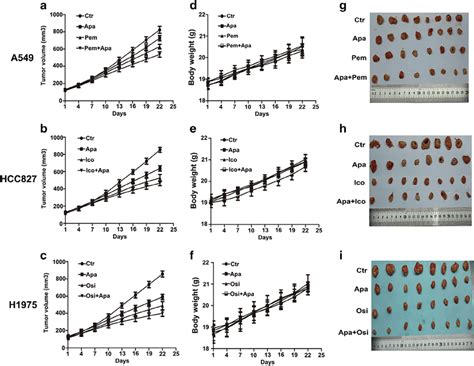 The Effect Of Apatinib Combined With Pemetrexed Icotinib And