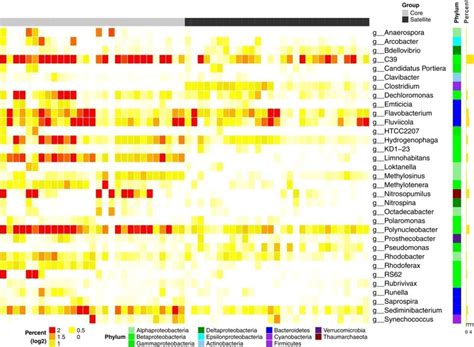 A Heatmap Showing The Distribution Pattern Of 33 Prokaryotic Genera
