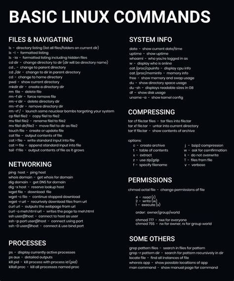 Visual Basic Linux Commands Infographictv Number One