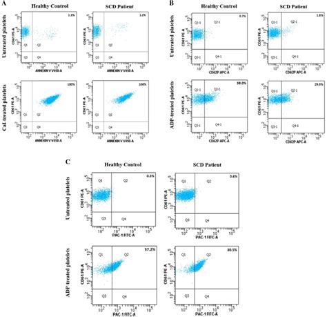 Measurement Of Surface Expressions Of Platelet Activation Markers A Download Scientific
