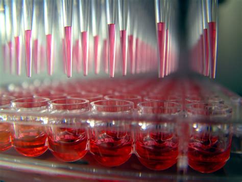 Data Mining Techniques In High Throughput Genomics