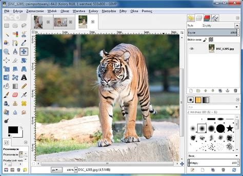 Gimp Interface Gimp Interfejs Menu Okna Dokowalne Obszar Pracy