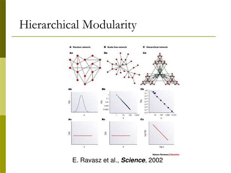 Ppt Biological Networks Powerpoint Presentation Free Download Id 423578