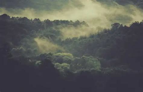 Angular와 React의 장단점 및 선택 가이드 퀵 라이프 투데이