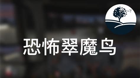 斗罗大陆4终极斗罗 119恐怖翠魔鸟 Youtube