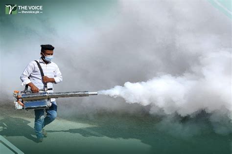 How To Protect Yourself Against Dengue The Voice Pakistan