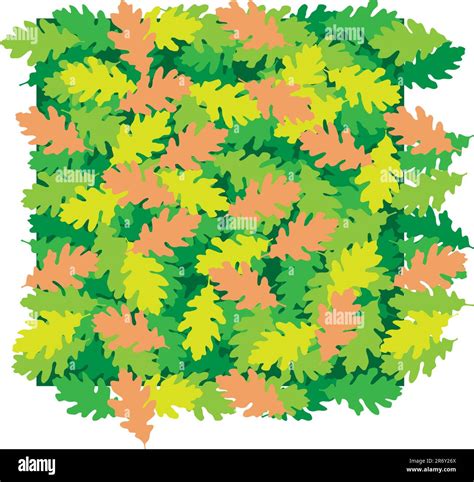 Oak Colors Leaves Texture For Background Design Stock Vector Image