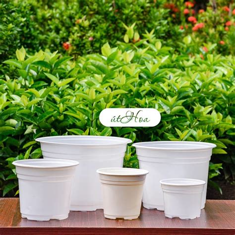Mua Sỉ Từ 20 Cái Chậu Nhựa Trắng T20 20x15 Cm Trồng Cây Trồng Hoa