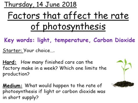 Two Factors Affecting Photosynthesis Worksheet
