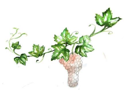 How To Draw Vines Easy Simple And Step By Step