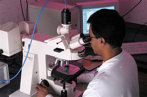 Difference Between Analysis And Analyses