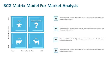 Bcg Model Template
