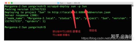 Python爬虫之scrapyd部署scrapy项目 知乎