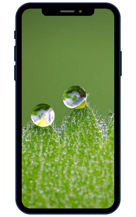 Grass Wallpapers Apk For Android Download Grass Wallpapers Apk For Android Download