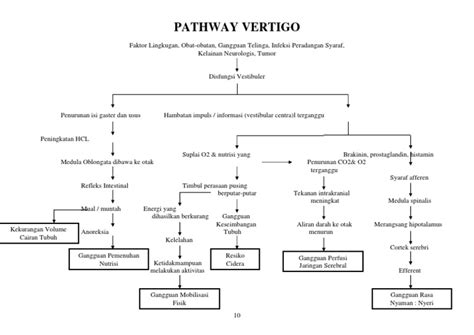 Pathway Vertigo New Pdf