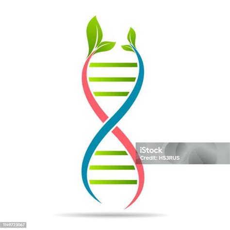 유기 Dna 기호 생태 나무 잎입니다 녹색 사고 기술 혁신 보존 개념 0명에 대한 스톡 벡터 아트 및 기타 이미지 0명 Dna Rna Istock