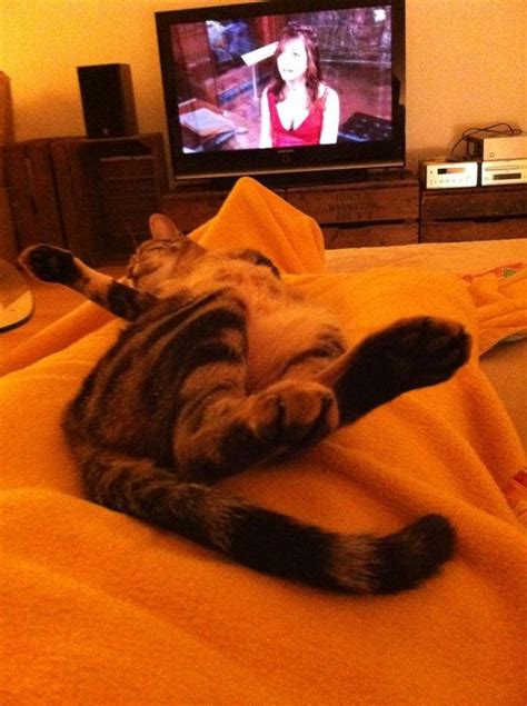 Milly By Sunshine1998 On Deviantart