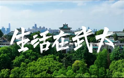 武汉大学 招生减章 Bilibilib站无水印视频解析——yiuios易柚斯