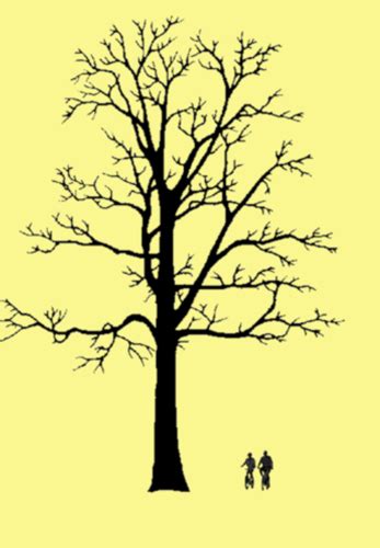 Trees Flashcards Quizlet