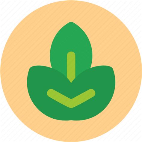 Leaf Ecological Ecology Environment Green Icon Icon Download On
