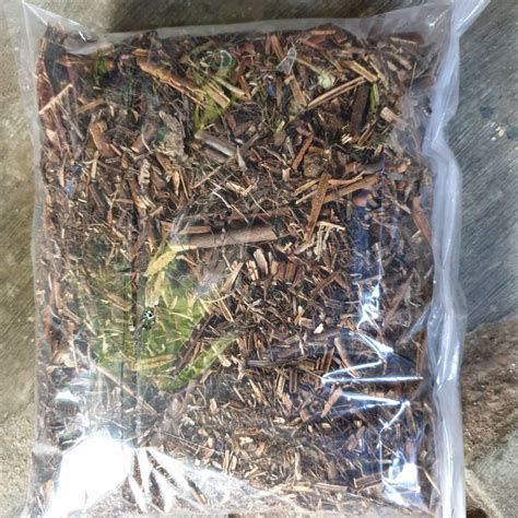 Jual Media Tanam Andam 1 Kg Shopee Indonesia