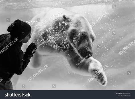 Biologist Clipart Black And White Bear