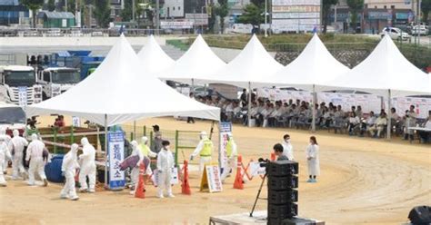 경기도 추석기간 아프리카돼지열병 예방 특별방역나서