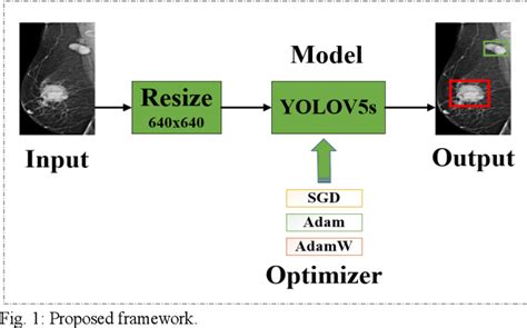 Figure 1 From Optimizing The Hyperparameter Tuning Of Yolov5 For Breast