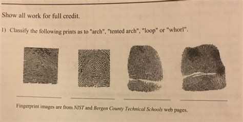 Solved Classify The Following Prints As To Arch Tented Chegg Com