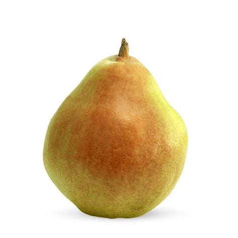 Comice Pears — Cmi Orchards