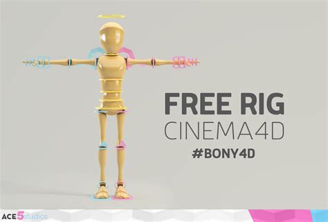 C D Character Rig Dasemet