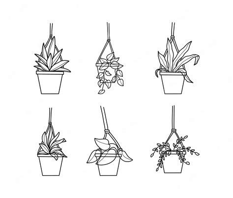 Premium Vector Hand Drawn Hanging House Plant Illustrations Collection