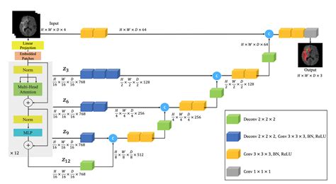 Image Segmentation With Unetr Model — Jax Ai Stack
