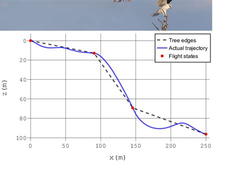 Segmentation Of The Ornithopter Motion For A Landing Trajectory Top Download Scientific