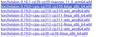 Bug Vllm 061 Runtimeerror Operator Torchvisionnms Does Not Exist Csdn博客