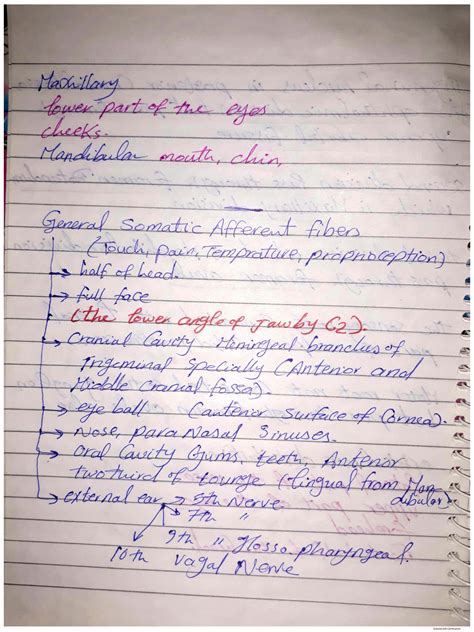 Solution Trigeminal Nerve Neuralgia Illustrations Notes Studypool