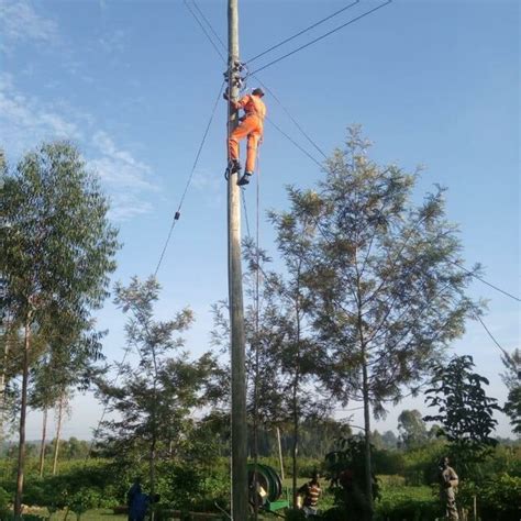 A The Low Voltage Distribution Network And B Community Members