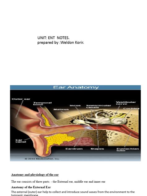 lecture 1 ent pdf ear cancer