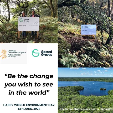 Generationrestoration Worldenvironmentday Sacredgroves Vikram Krishna 30 Comments