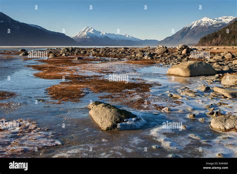 First Ice Of The Season On The Chilkat Inlet Beach Near Haines Alaska
