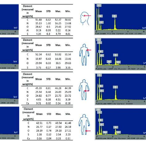 Energy Dispersive X Ray Spectroscopy Data Showing The Spectra And Mean Download Scientific