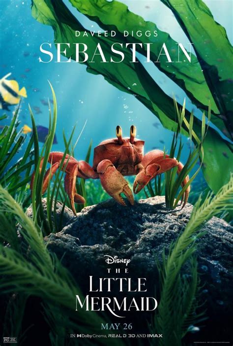 Little Mermaid Poster Controversy