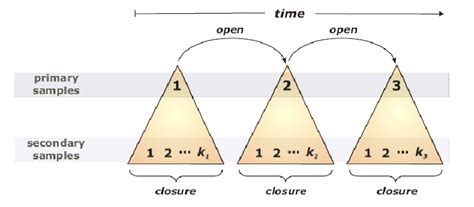 The Basic Structure Of The Followed Capture Recapture Method [as Appear Download Scientific