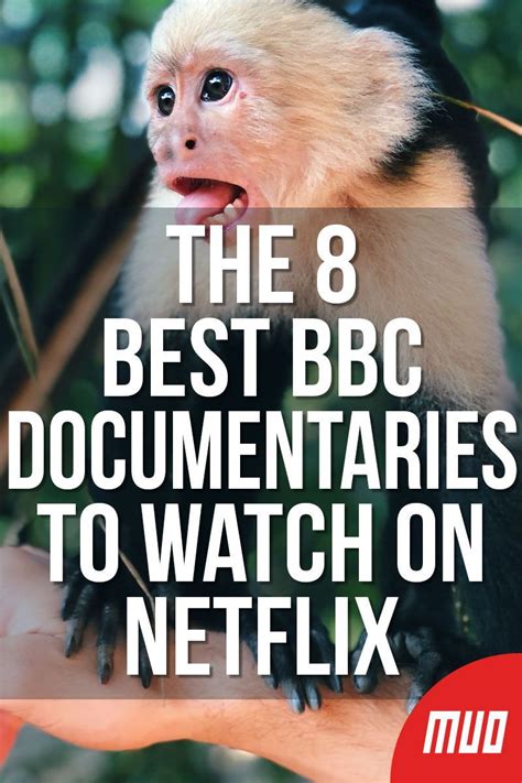 16 Of The Best Historical Documentaries To Watch On Netflix In 2017