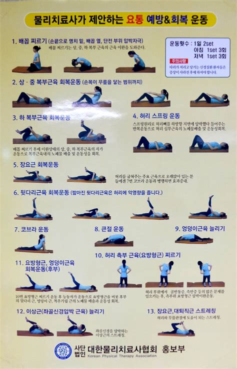 물리치료사가 제안하는 요통 예방and회복 운동 네이버 블로그