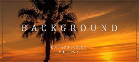 Page 3 Tropical Beach Sunset Background Psd 3 000 High Quality Free