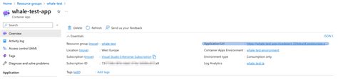 Azure Container Apps Creating Using Terraform [part 1]